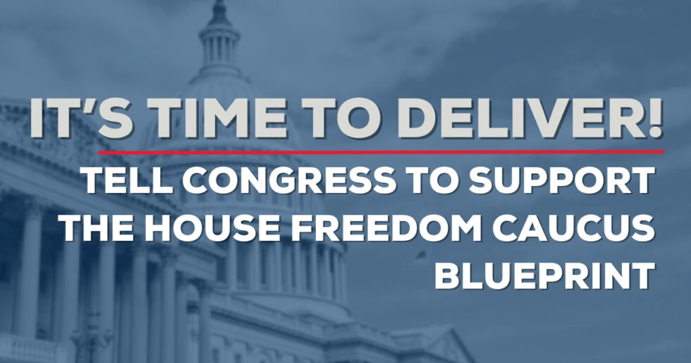 It's Time To Deliver: Support the Freedom Caucus Blueprint